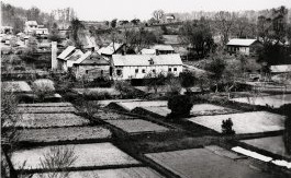 Old Salem Research - Old Salem Museums & Gardens